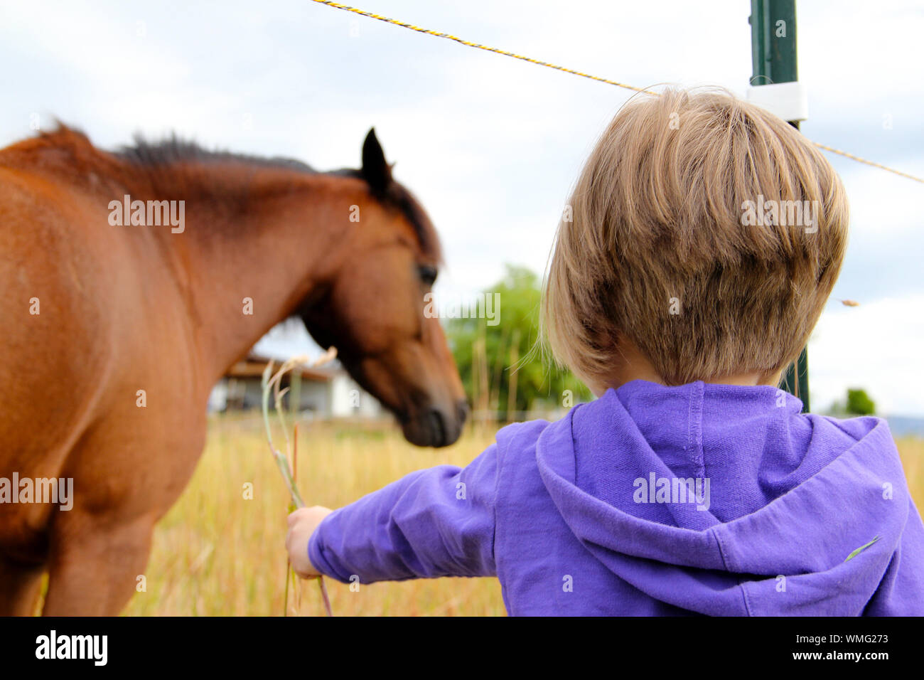 Ranch boy hi-res stock photography and images - Alamy