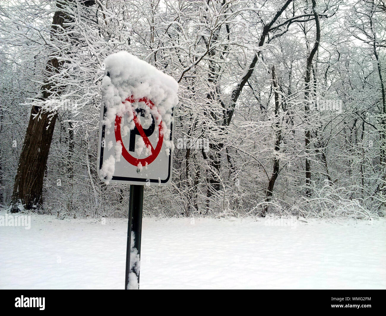 Tree covering sign hi-res stock photography and images - Alamy