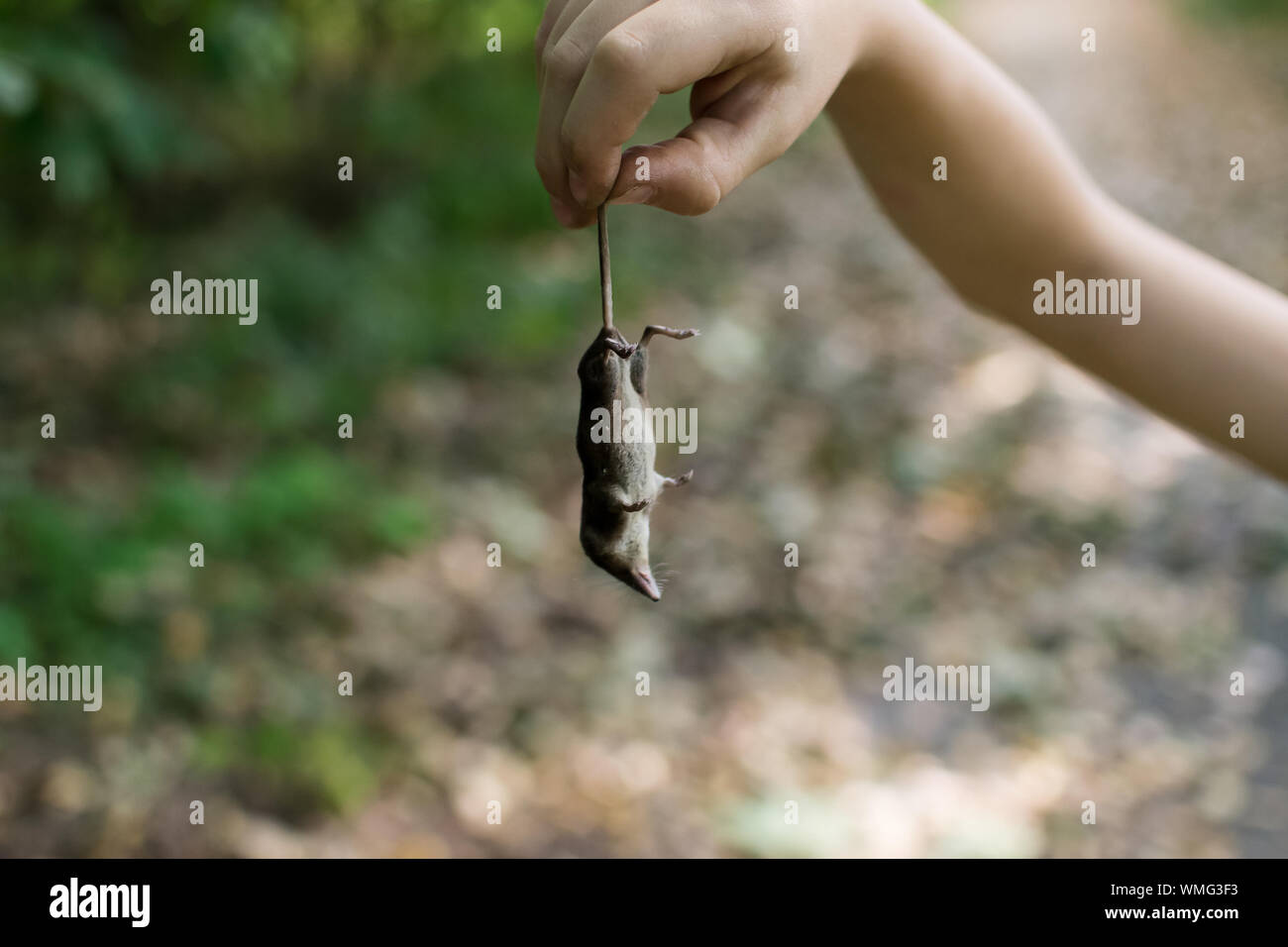 Dead boy hi-res stock photography and images - Alamy