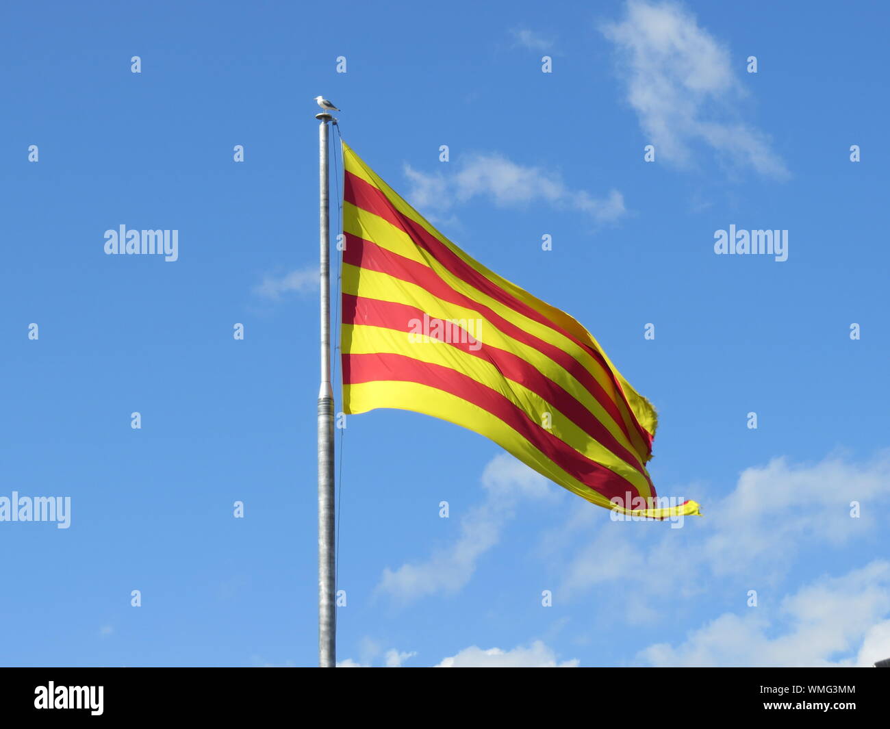 Catalan Flag Waving