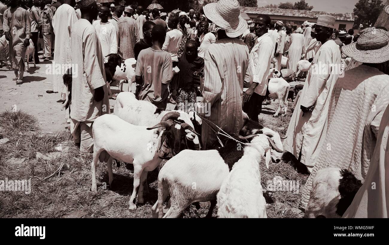 People selling goats hi-res stock photography and images - Alamy