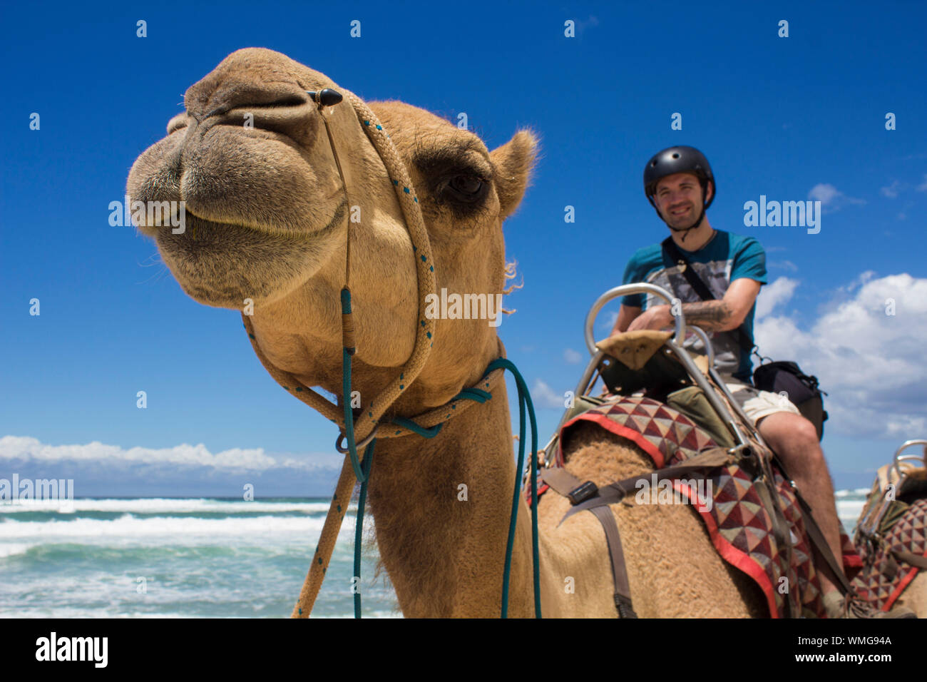 Man on camel hi-res stock photography and images - Alamy