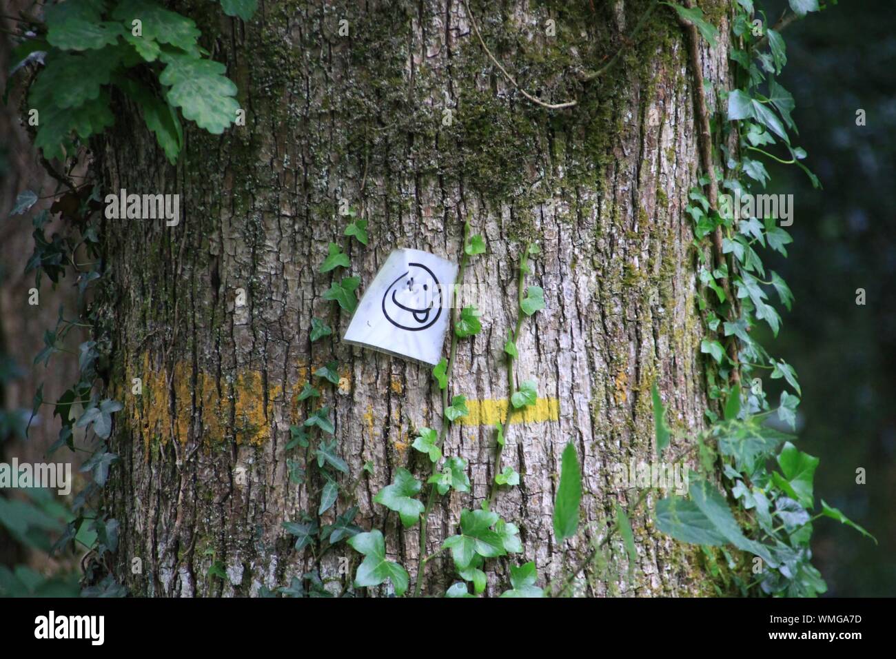 Smiley tree hi-res stock photography and images - Alamy