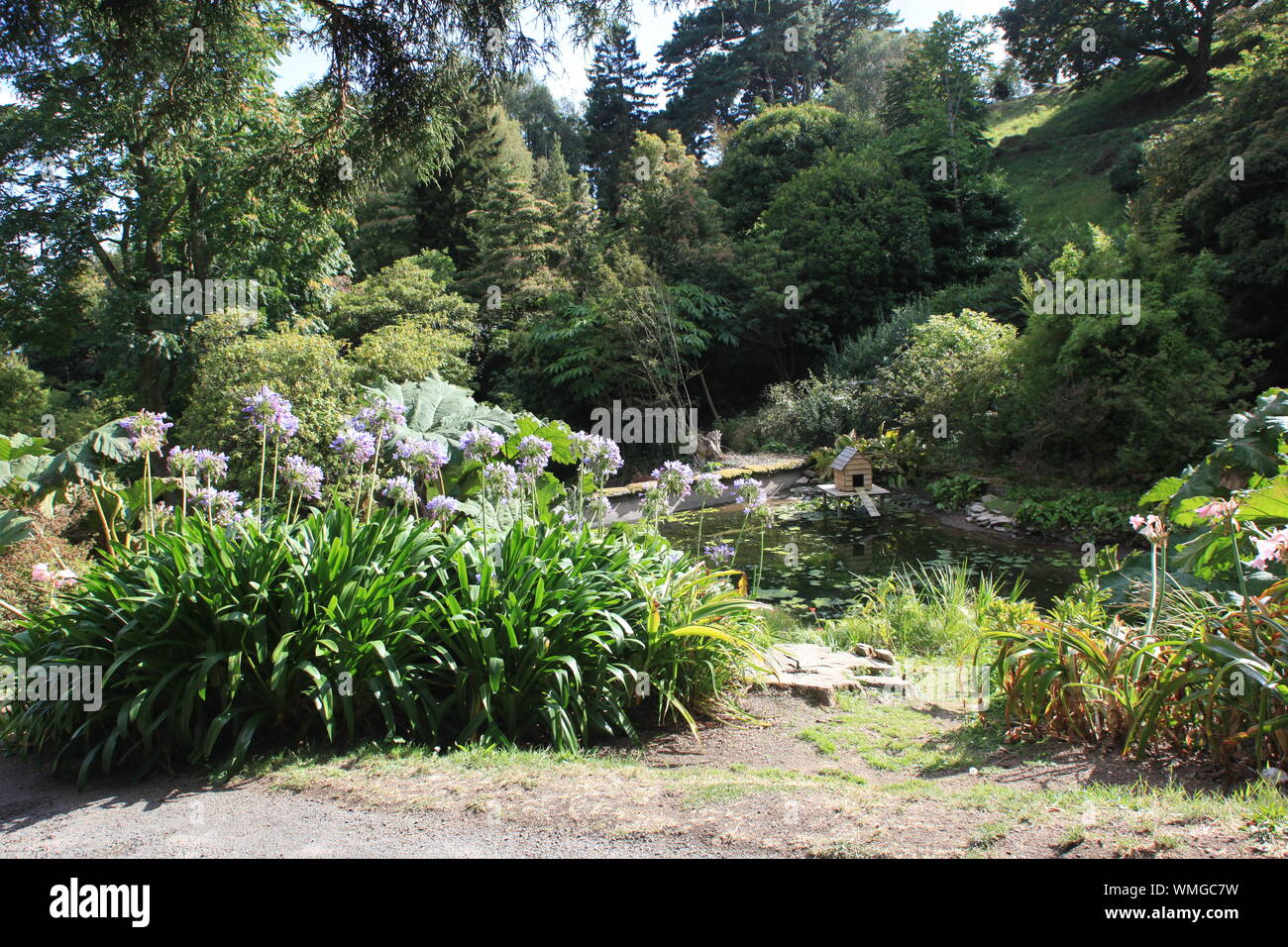 Gardening Lifestyles - Be adventurous in garden design, you can mix ...