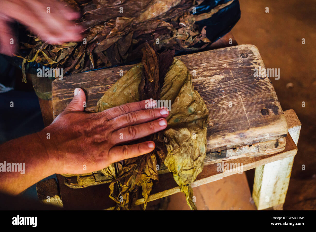 Cuban cigar making hi-res stock photography and images - Alamy