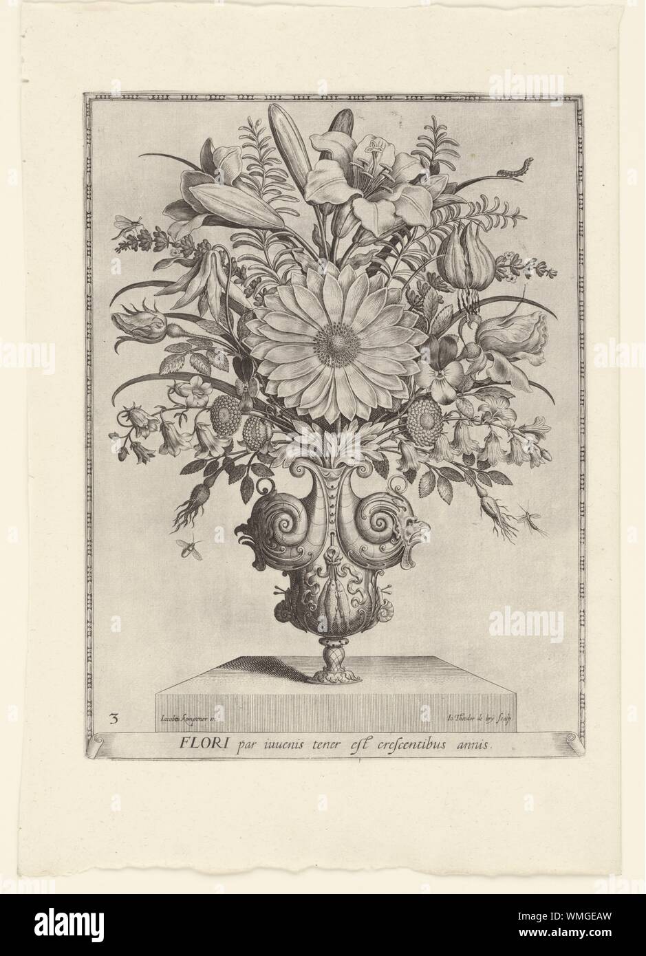 Polyptoton de flore hi-res stock photography and images - Alamy