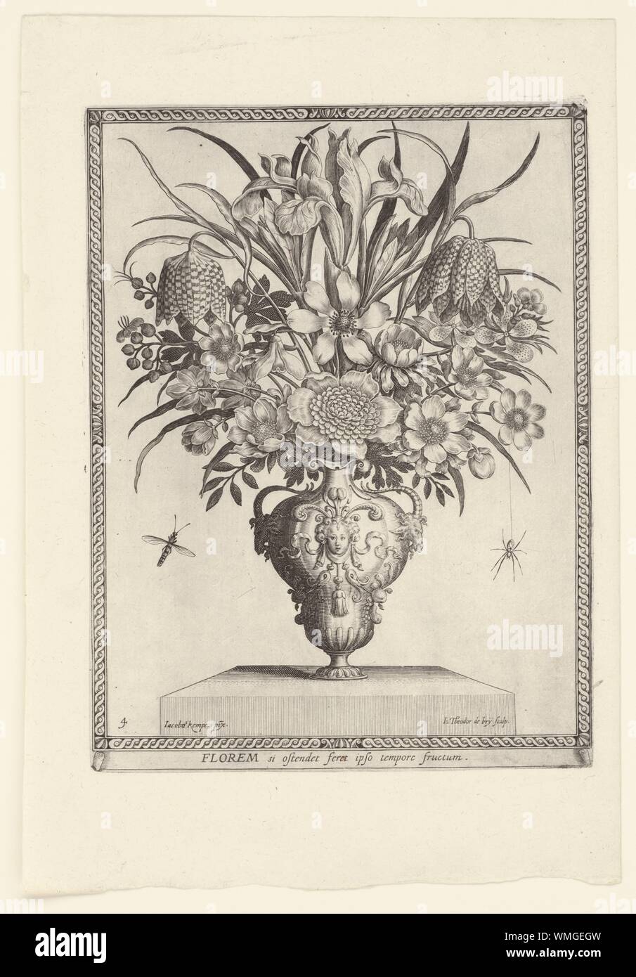 Polyptoton de flore hi-res stock photography and images - Alamy