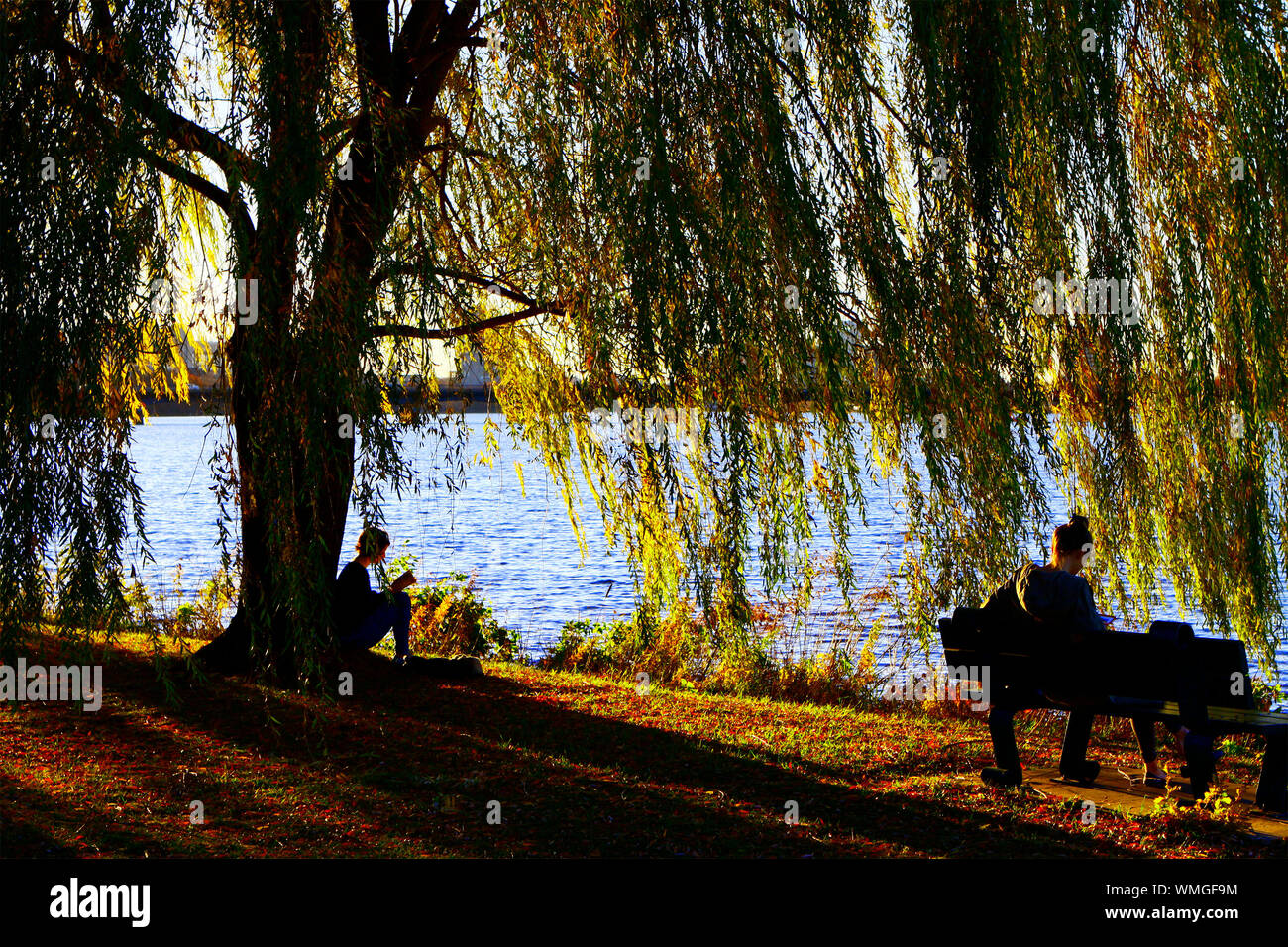 Sitting under tree river hi-res stock photography and images - Alamy