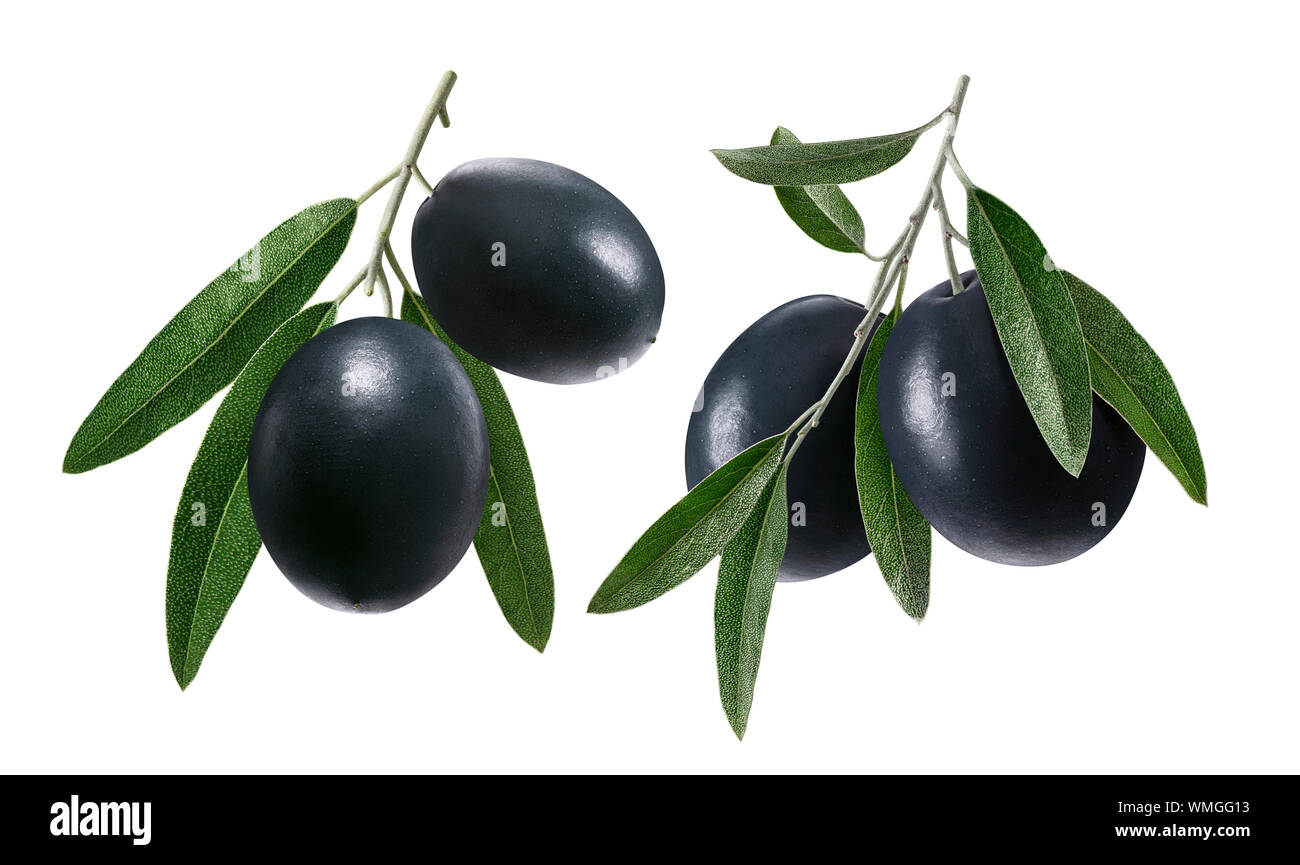 Black olive isolated hi-res stock photography and images - Alamy