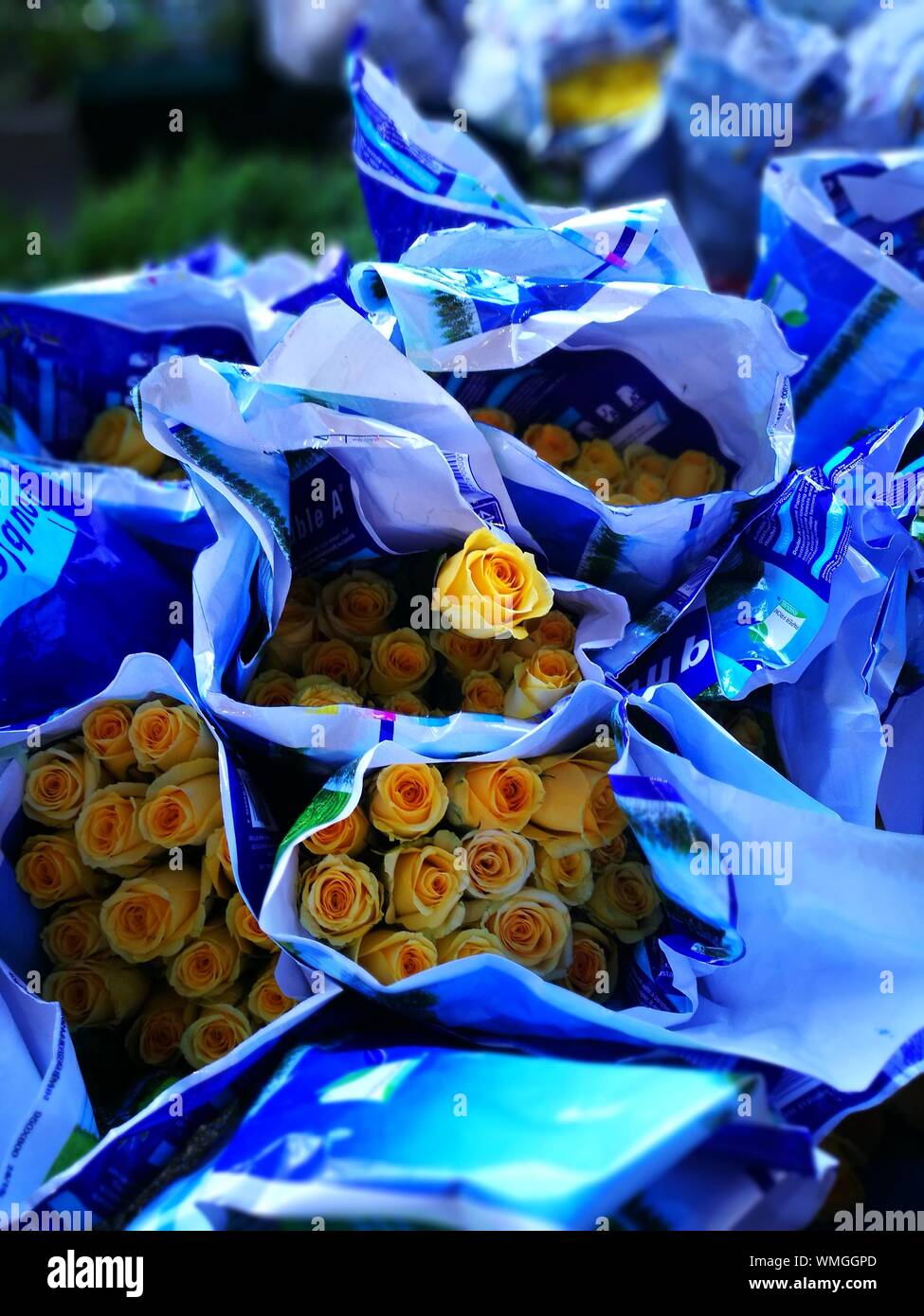 Plastics bouquets hi-res stock photography and images - Alamy