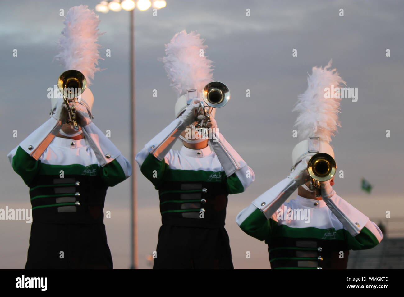 Musical band of three men hi-res stock photography and images - Alamy