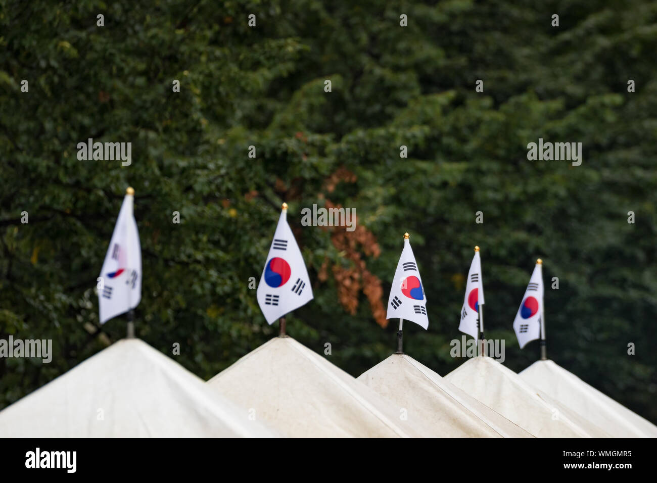 Row of flags hi-res stock photography and images - Alamy