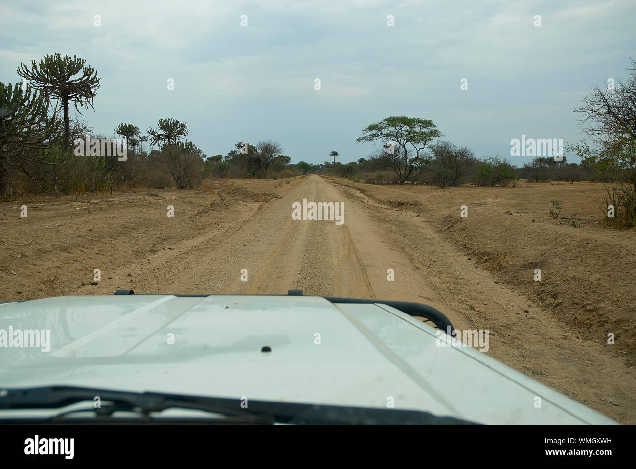 The Loliondo - Lake Manyara highway, part of the "Explorer Route ...