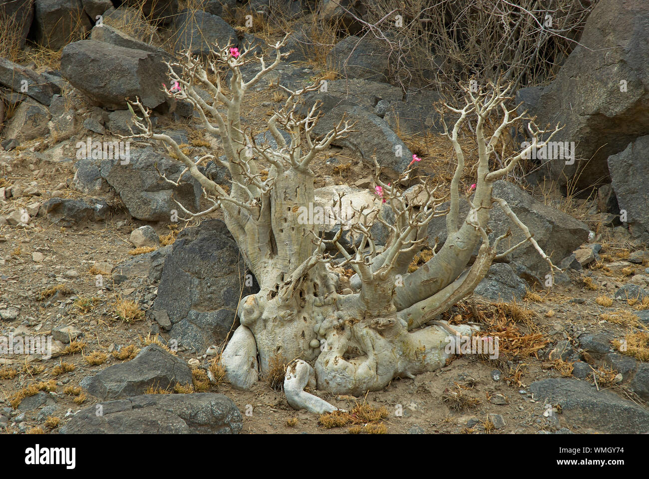 Rift valley escarpment hi-res stock photography and images - Alamy
