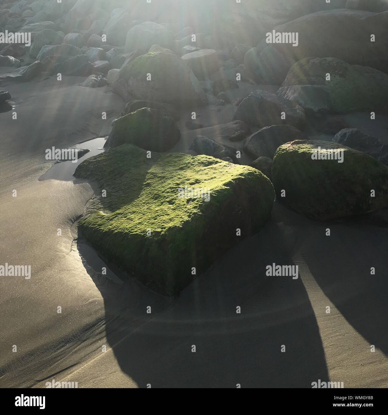 Mossed hi-res stock photography and images - Alamy