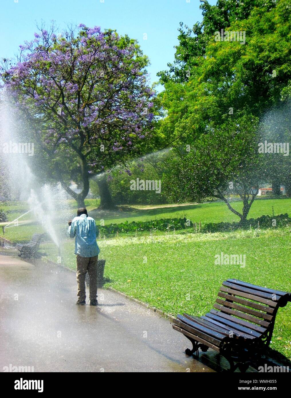 Sprinkler Man High Resolution Stock Photography and Images - Alamy