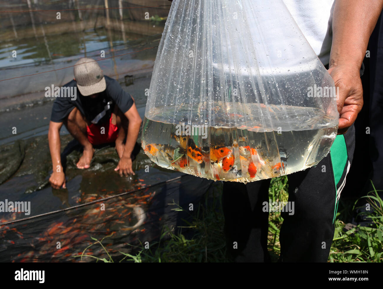 Group Holding Plastic Bag High Resolution Stock Photography and Images ...