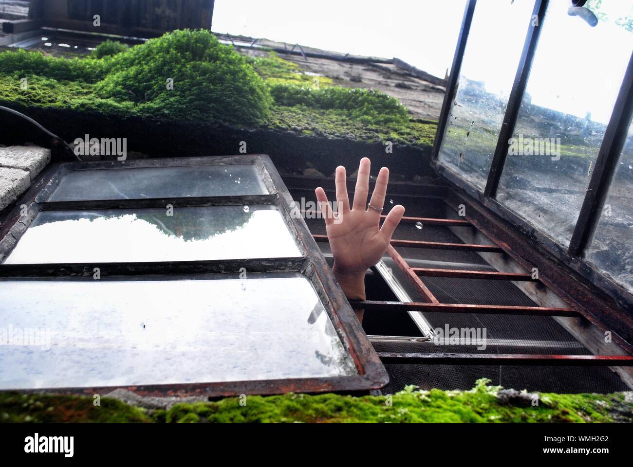 Woman reaching hand out hi-res stock photography and images - Alamy