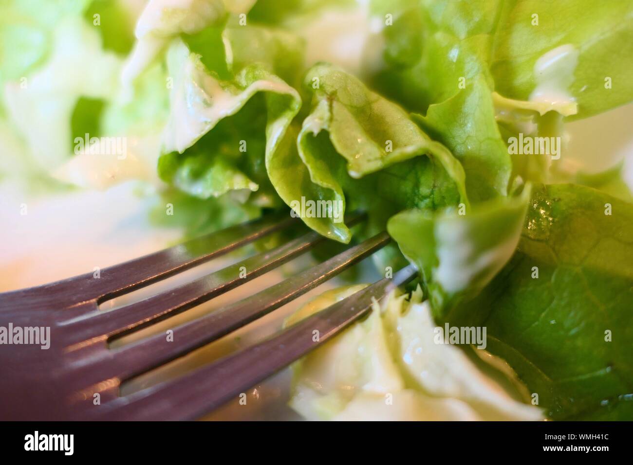 Fork and leaf hi-res stock photography and images - Alamy