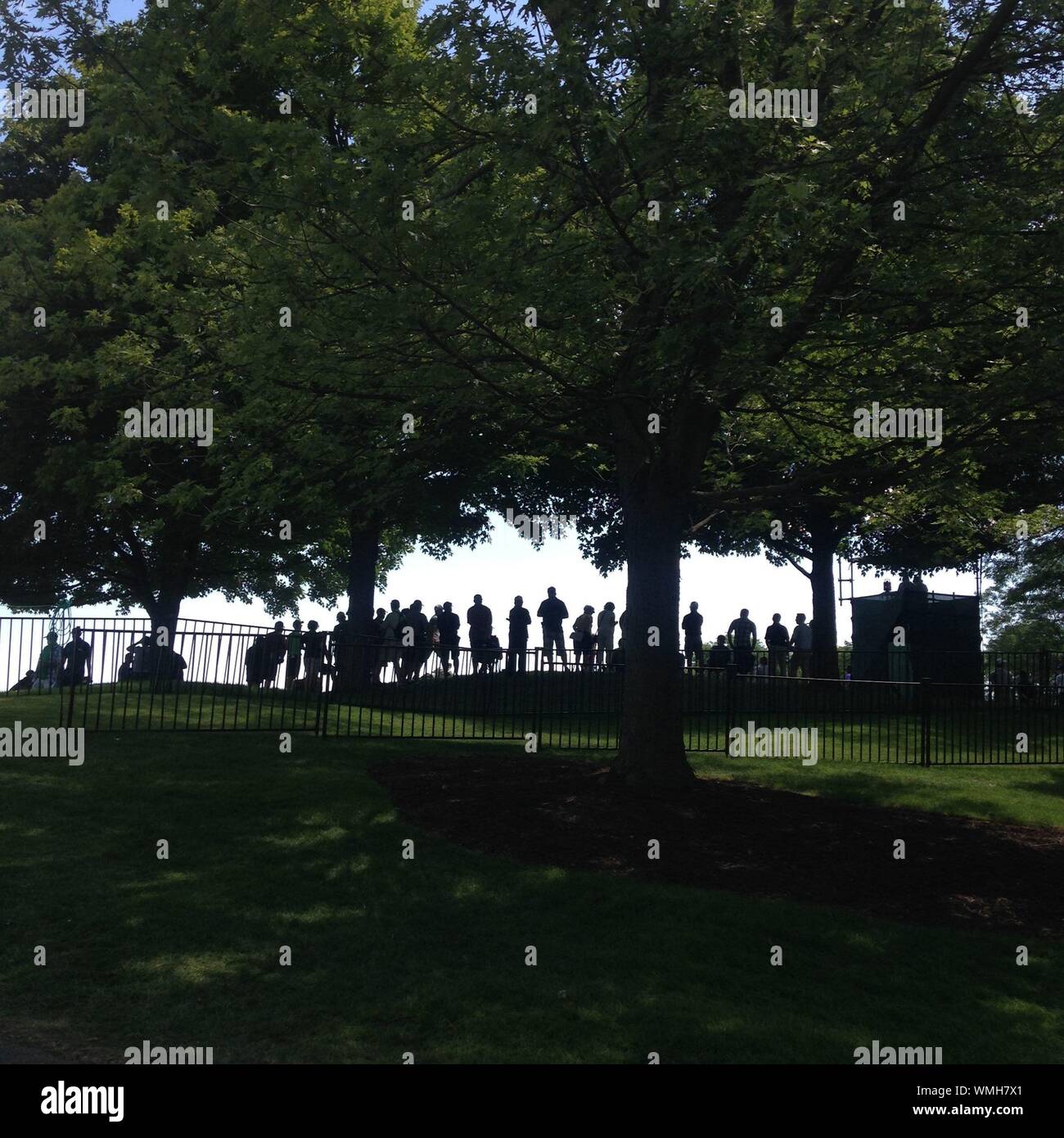 Men of the trees hi-res stock photography and images - Alamy