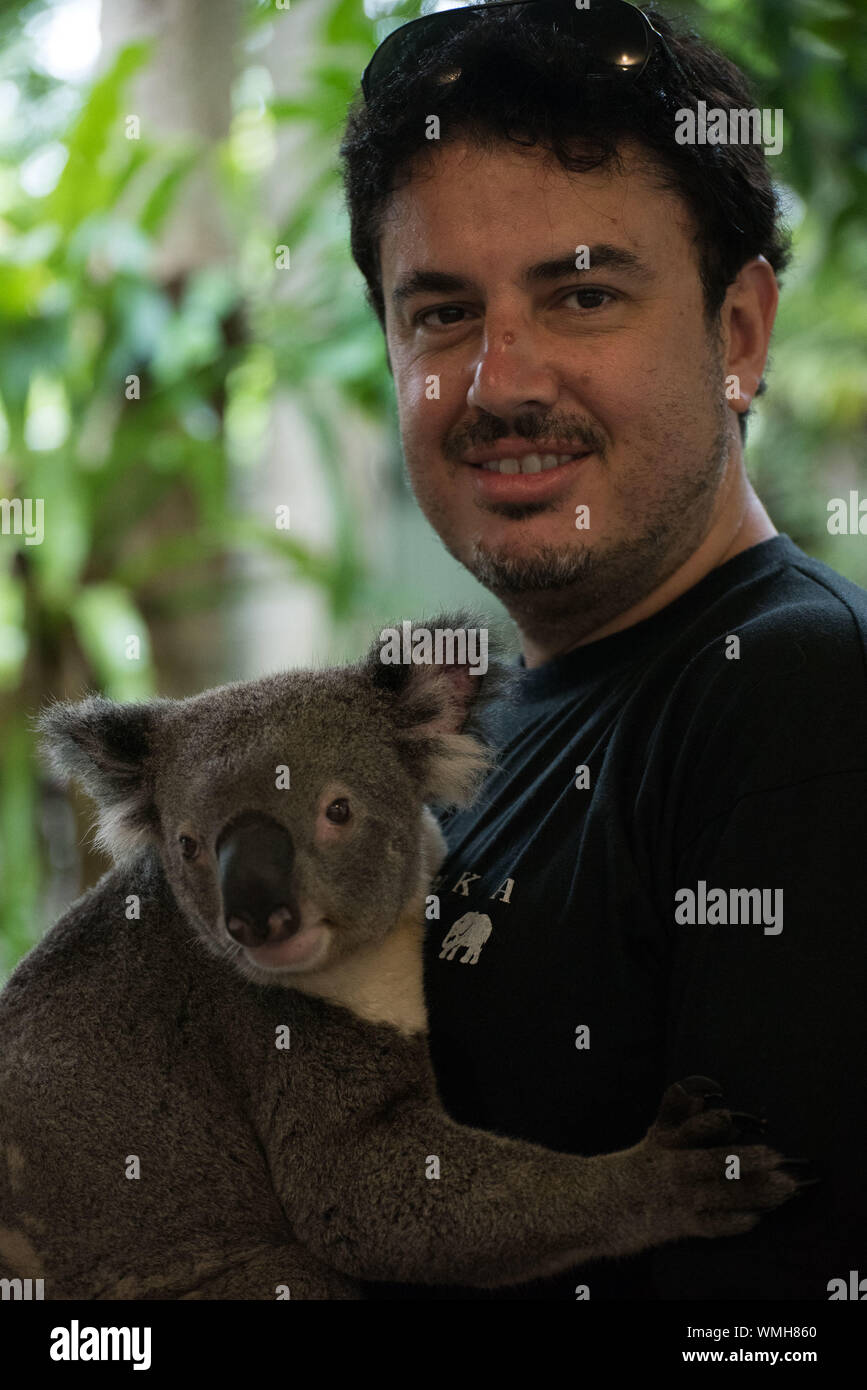 Holding koala hi-res stock photography and images - Alamy