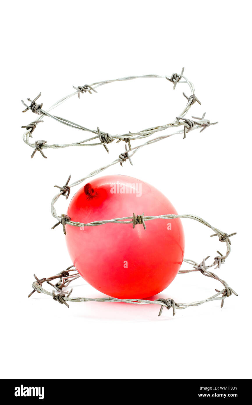 Barbed wire around a red balloon on a white background Stock Photo - Alamy