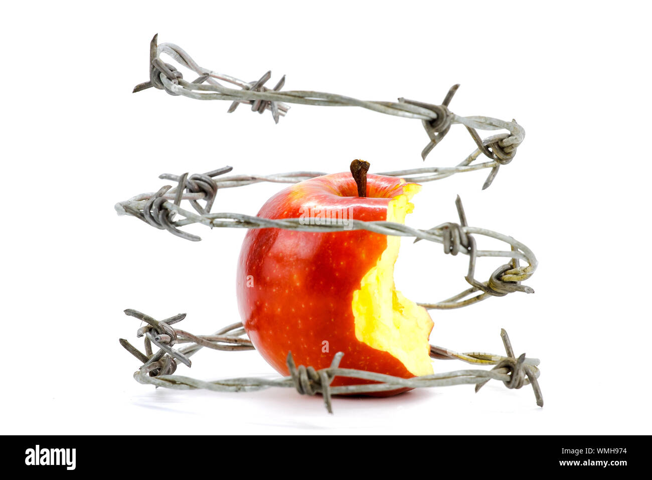 Barbed wire around a bitten red apple on a white background Stock Photo ...