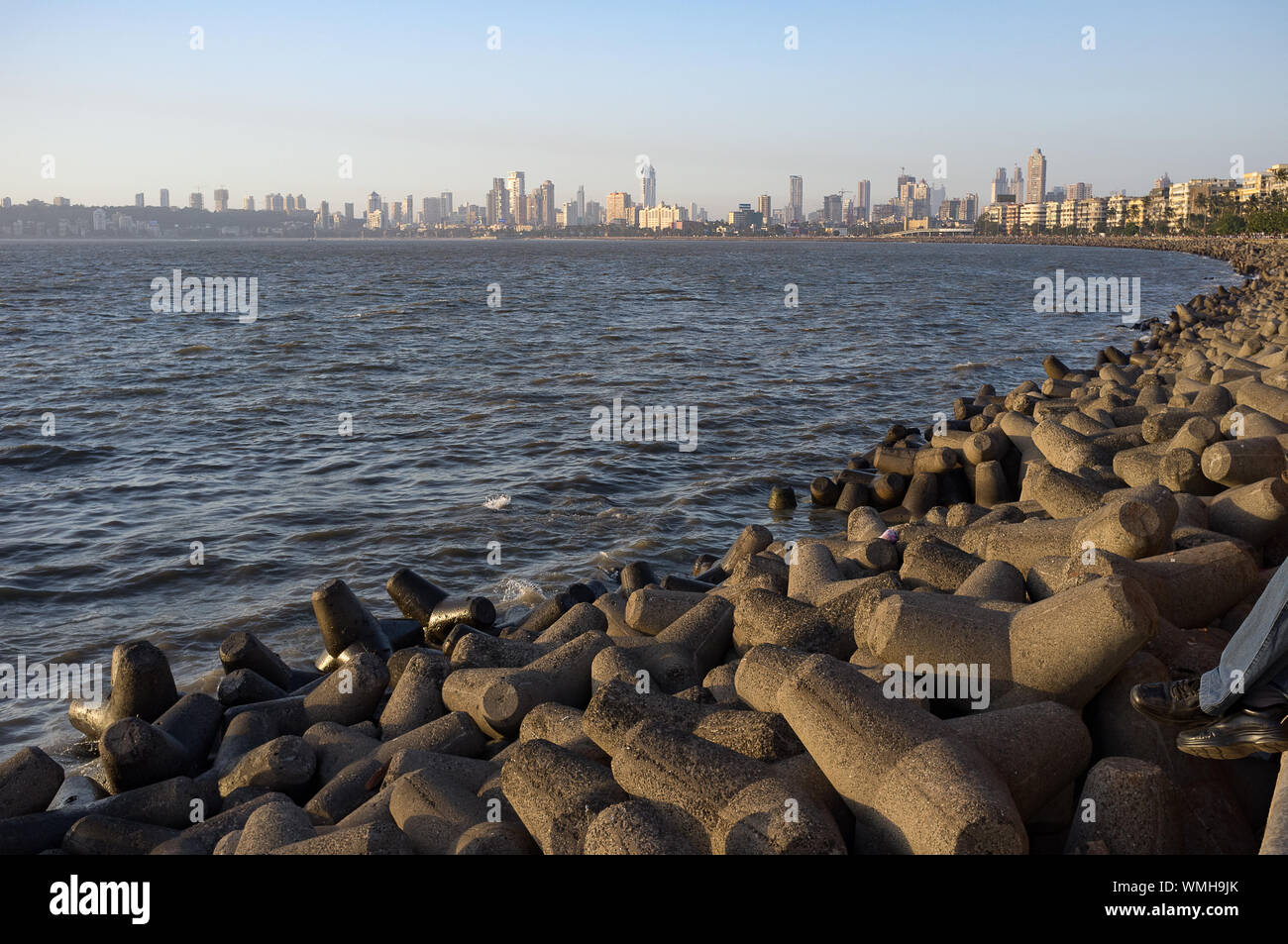 Tetrapod structure hi-res stock photography and images - Alamy
