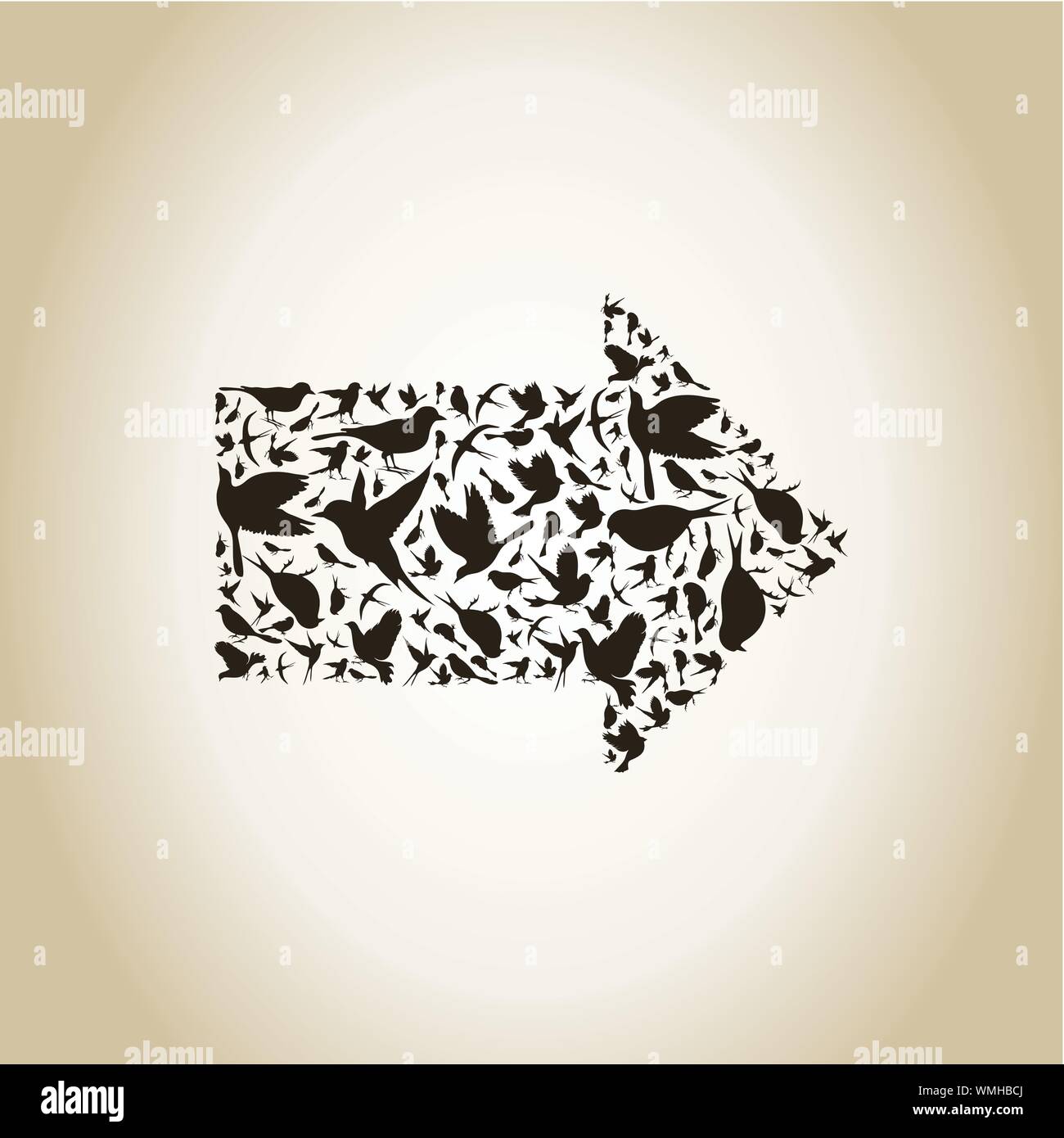 Arrow tail hi-res stock photography and images - Alamy