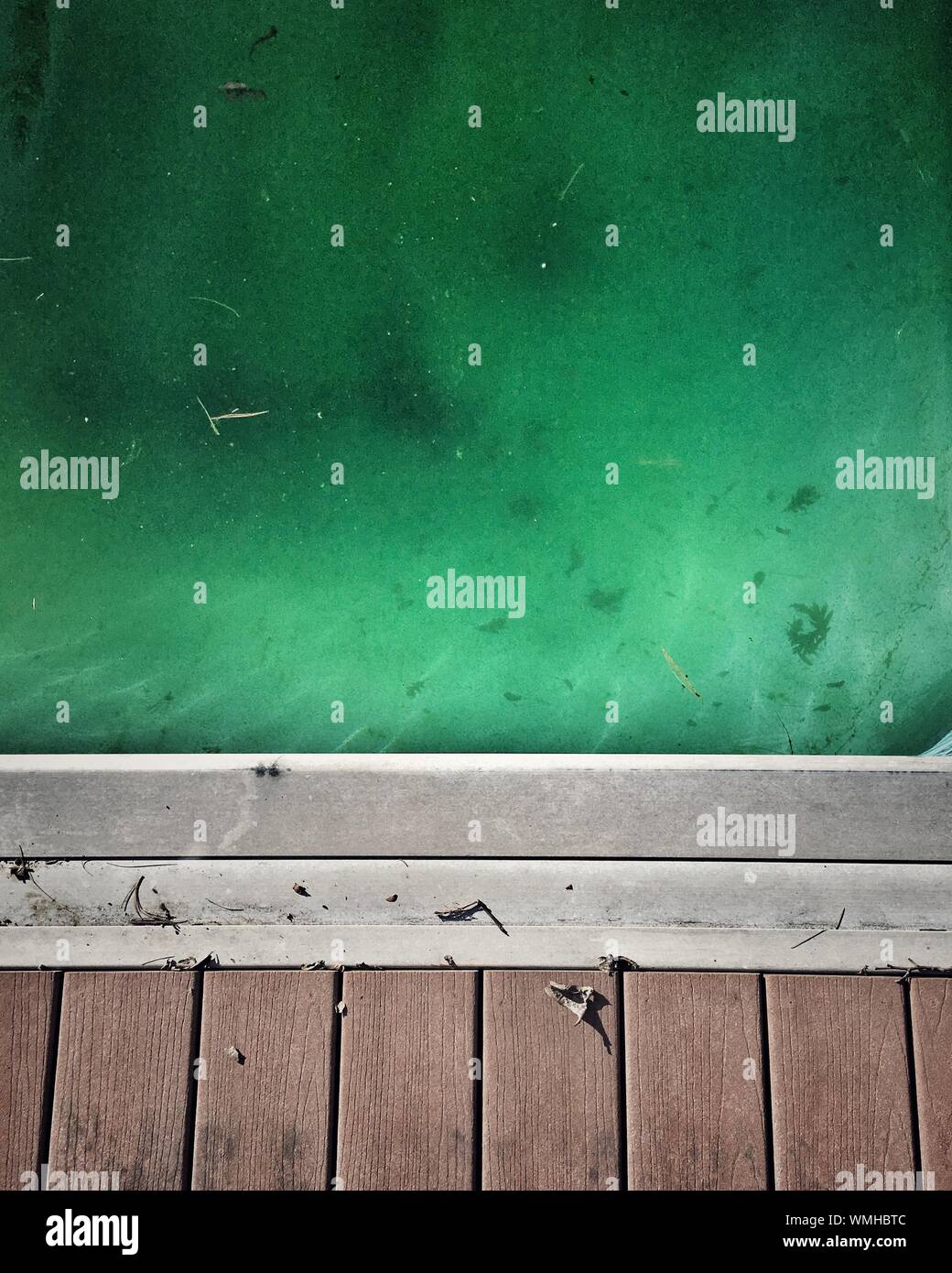 Algae in swimming pool hi-res stock photography and images - Alamy