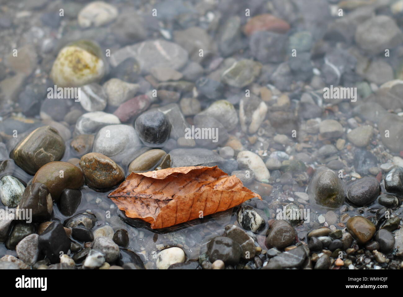 Pebbles field hi-res stock photography and images - Alamy