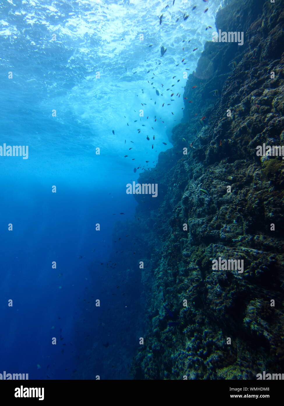 Edge of reef hi-res stock photography and images - Alamy