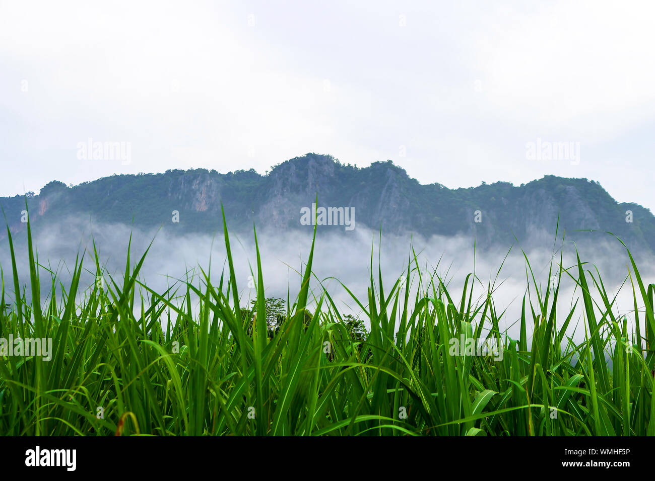 Mountain view landscape of Thailand countryside on morning. Full of ...