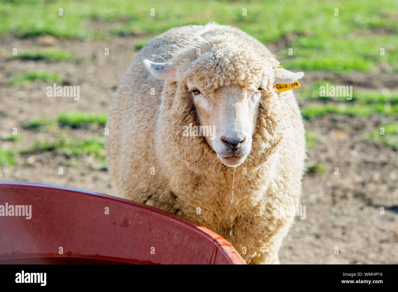 Farm container hi-res stock photography and images - Alamy