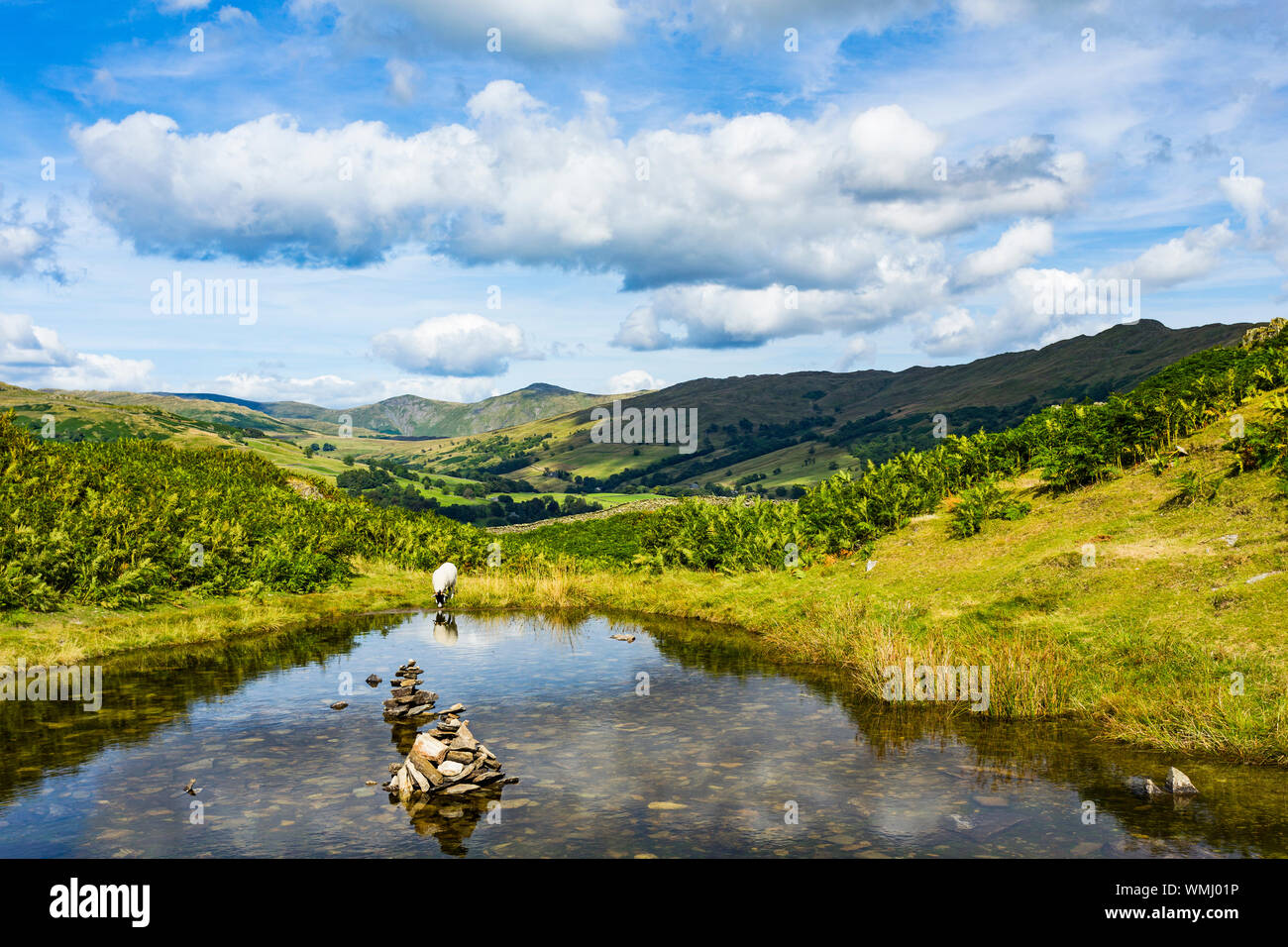 Idyllic Rural Scene In Uk Stock Photo - Alamy