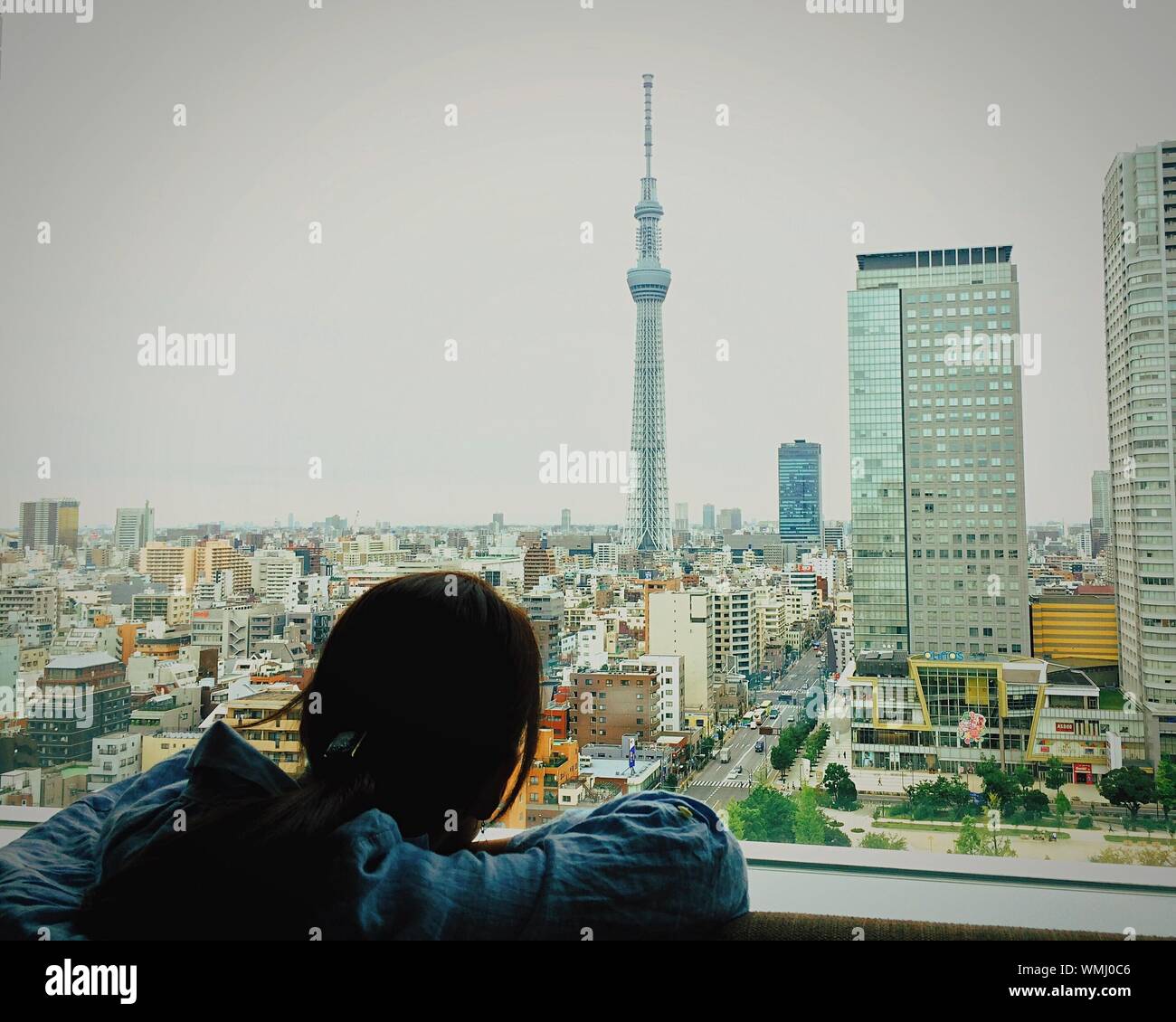 Person overlooking cityscape hi-res stock photography and images - Alamy