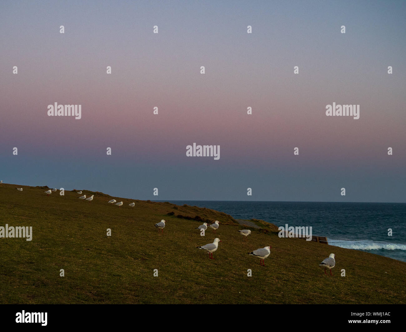 Blue Ocean Backdrop High Resolution Stock Photography and Images - Alamy
