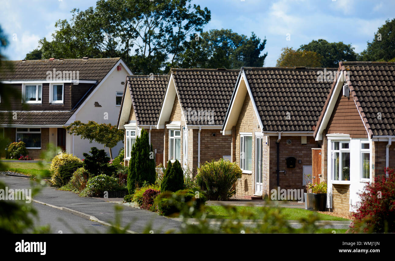Row of Bungalow houses in a street Stock Photo - Alamy