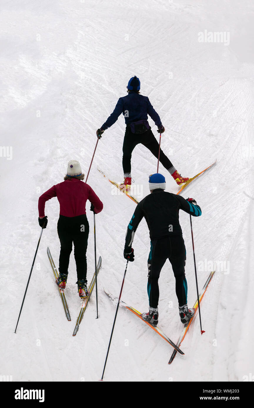 Cross country ski racer hi-res stock photography and images - Alamy