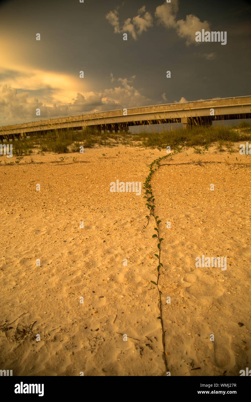 Bridge and beach hi-res stock photography and images - Alamy