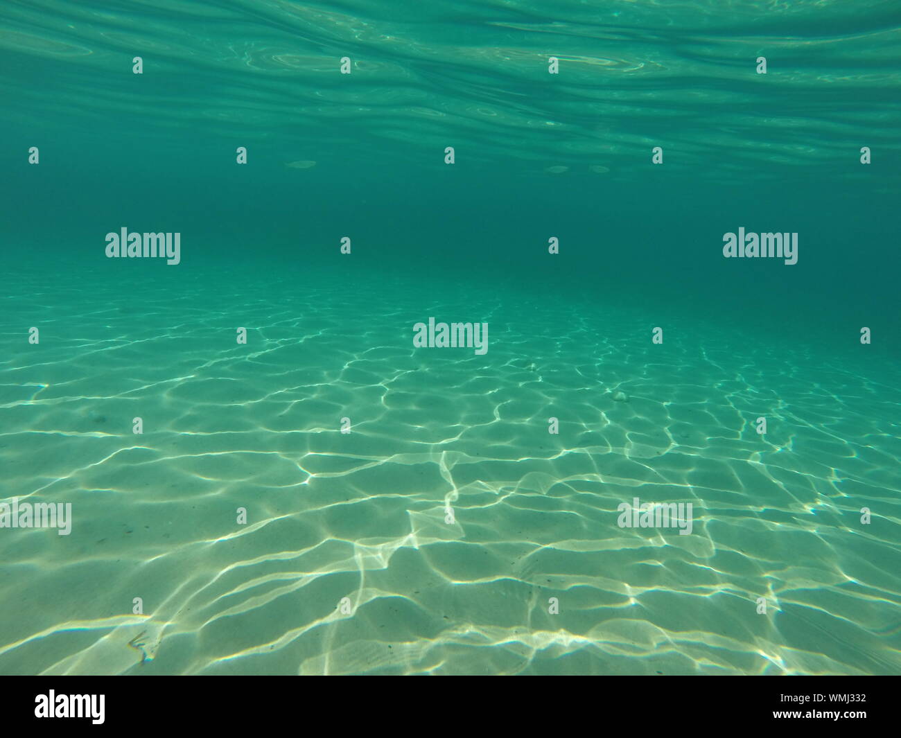 Underwater swimming hi-res stock photography and images - Alamy
