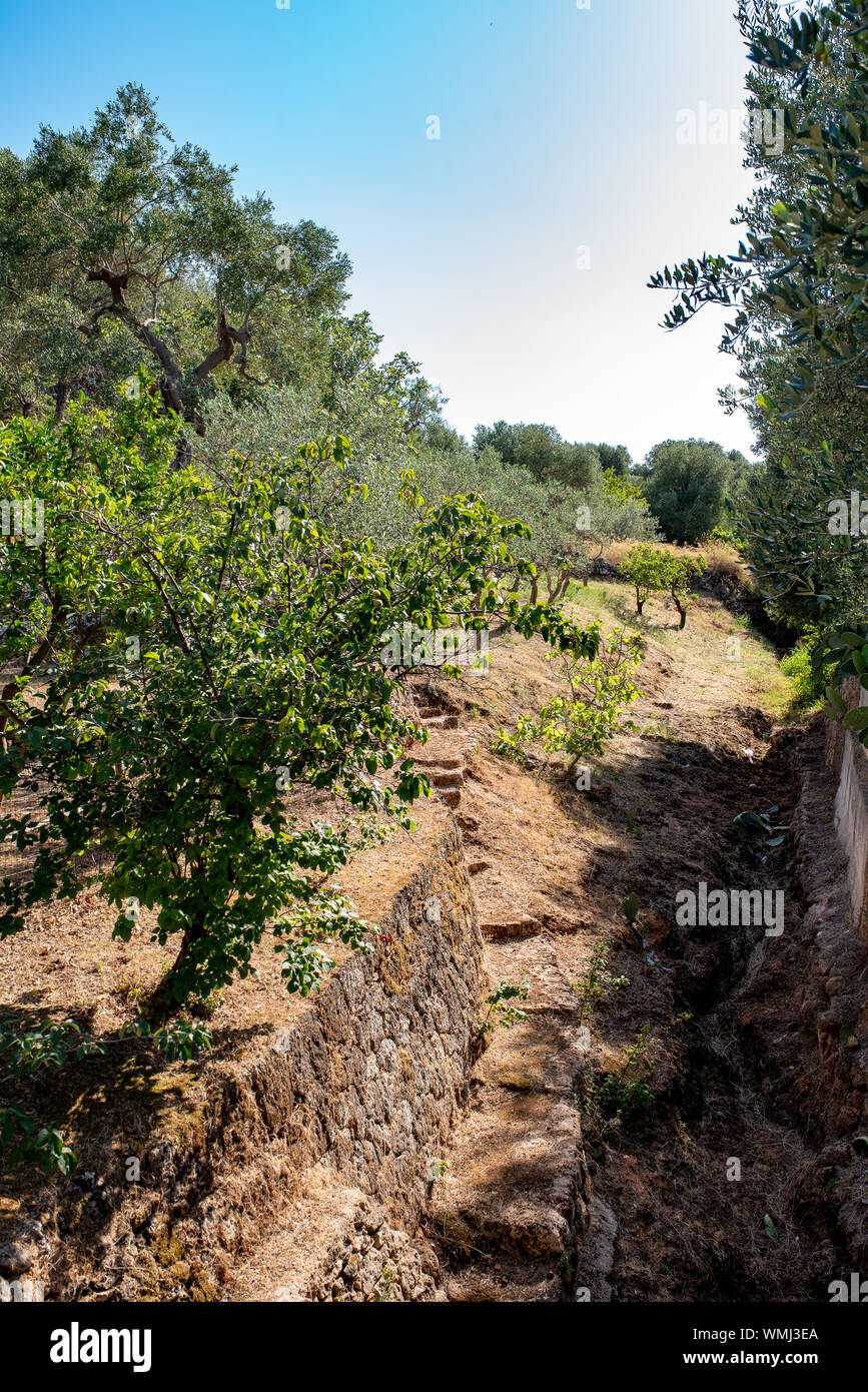 Trees italy hi-res stock photography and images - Alamy