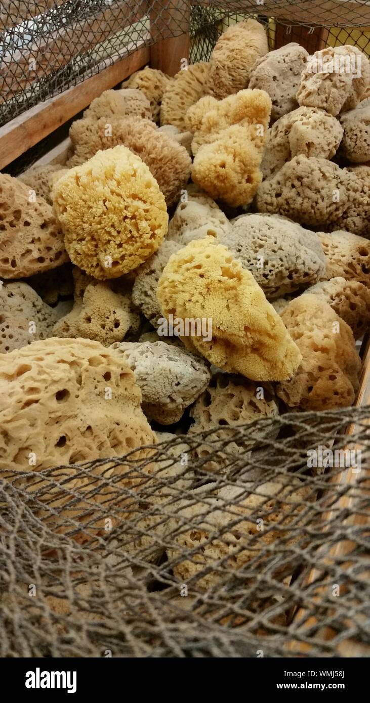 Sponge business hi-res stock photography and images - Alamy