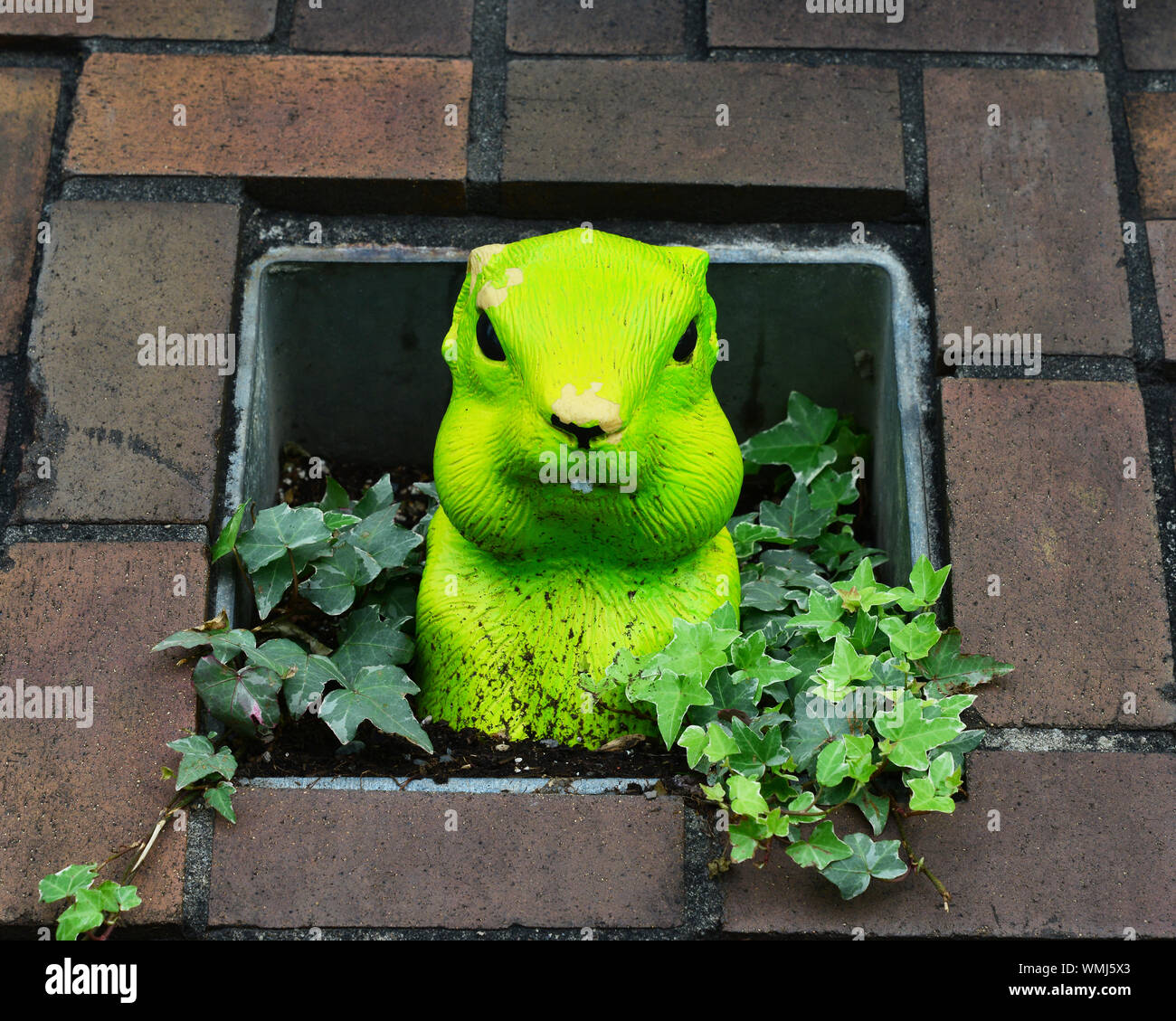 There's a wall full of colourfully painted gophers in the Olympic Plaza ...