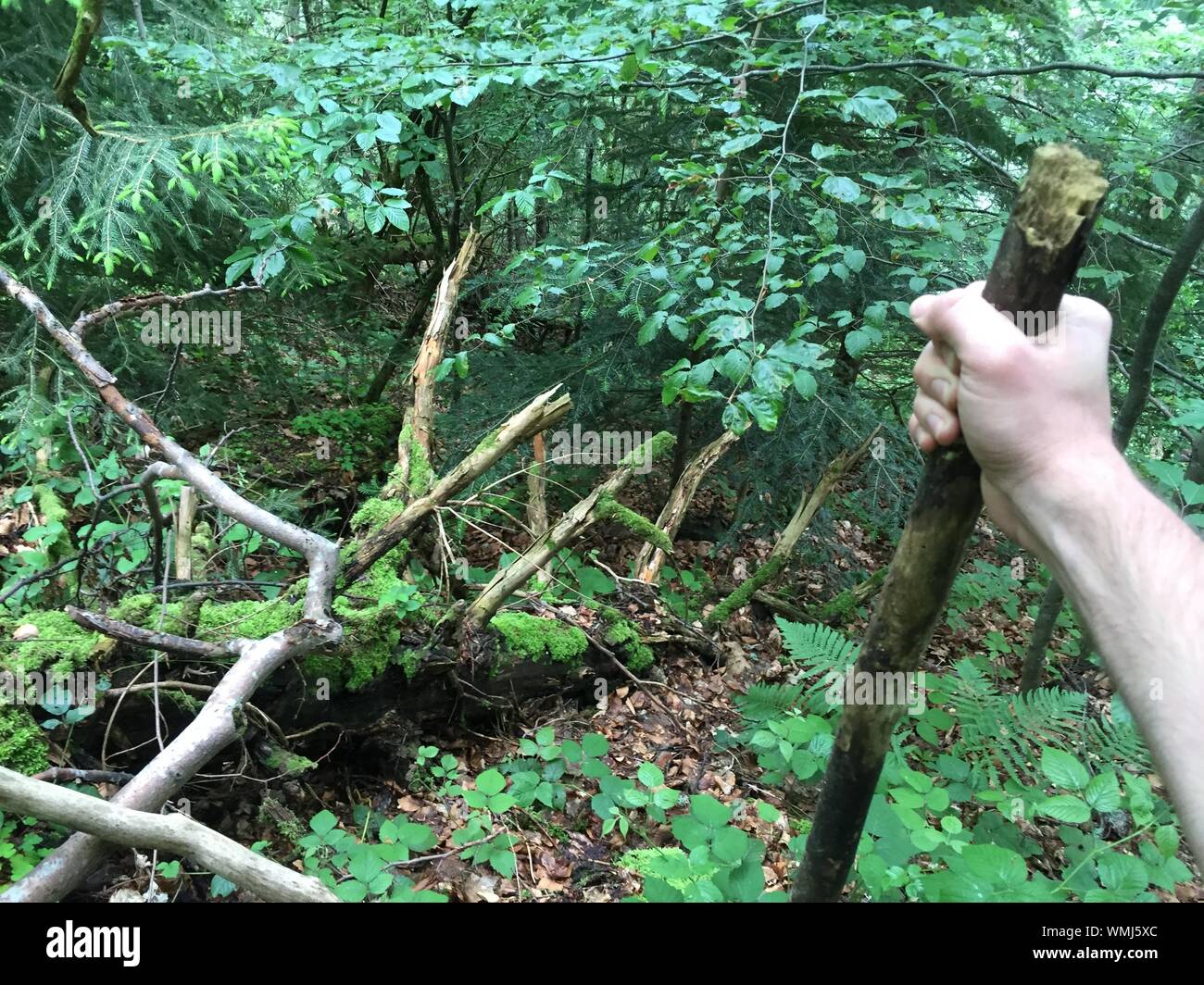 Forest people lost hi-res stock photography and images - Alamy