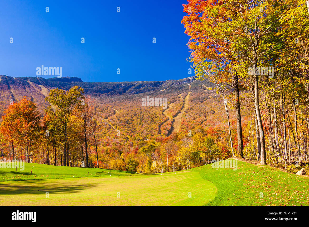 Stowe Mountain Resort ski trails during fall foliage season, Stowe ...
