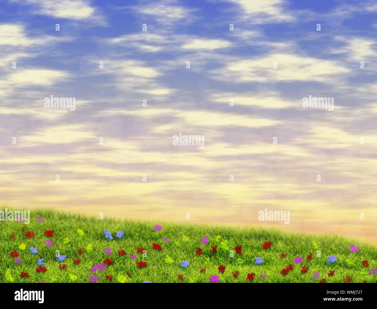 Sunrise over flowers hi-res stock photography and images - Alamy