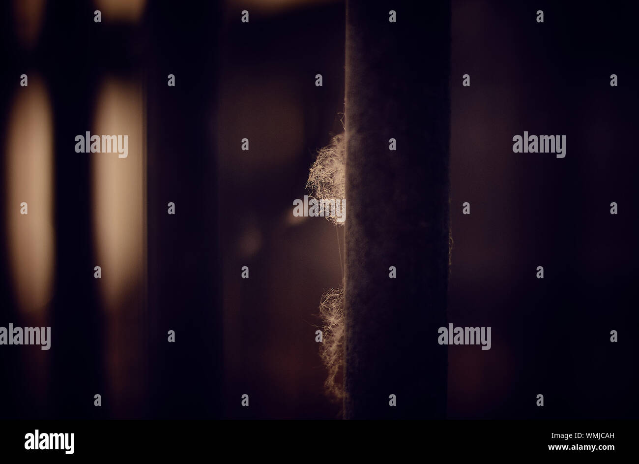 Dark Vertical Bars High Resolution Stock Photography and Images - Alamy