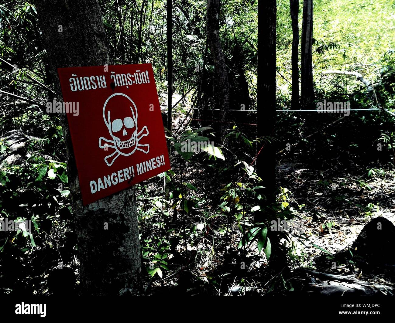 Forest in danger hi-res stock photography and images - Alamy