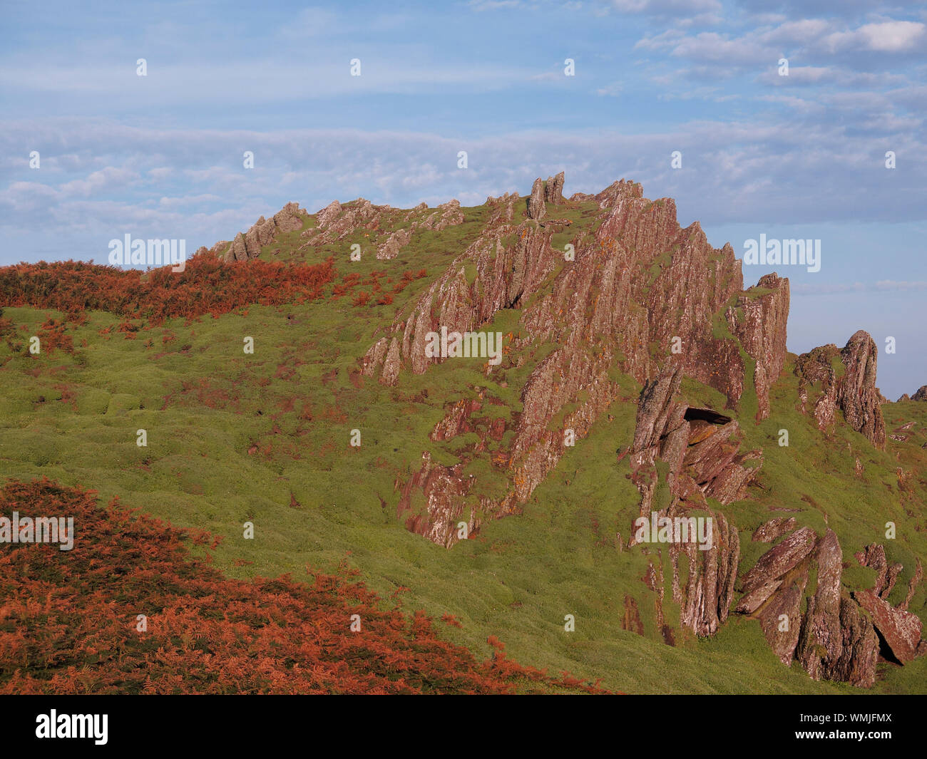 Skokholm island hi-res stock photography and images - Alamy